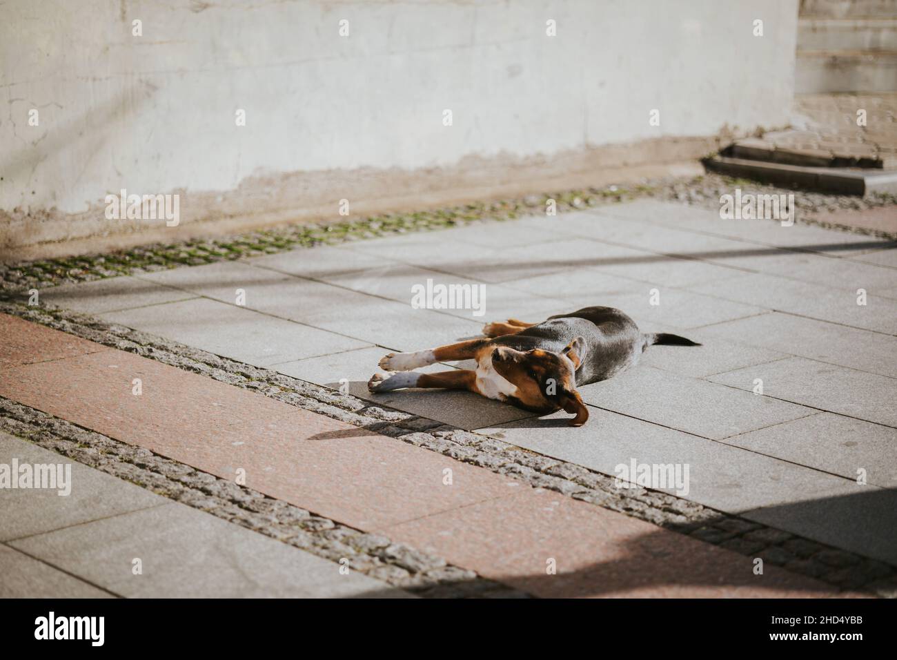 Being lazy hi-res stock photography and images - Alamy