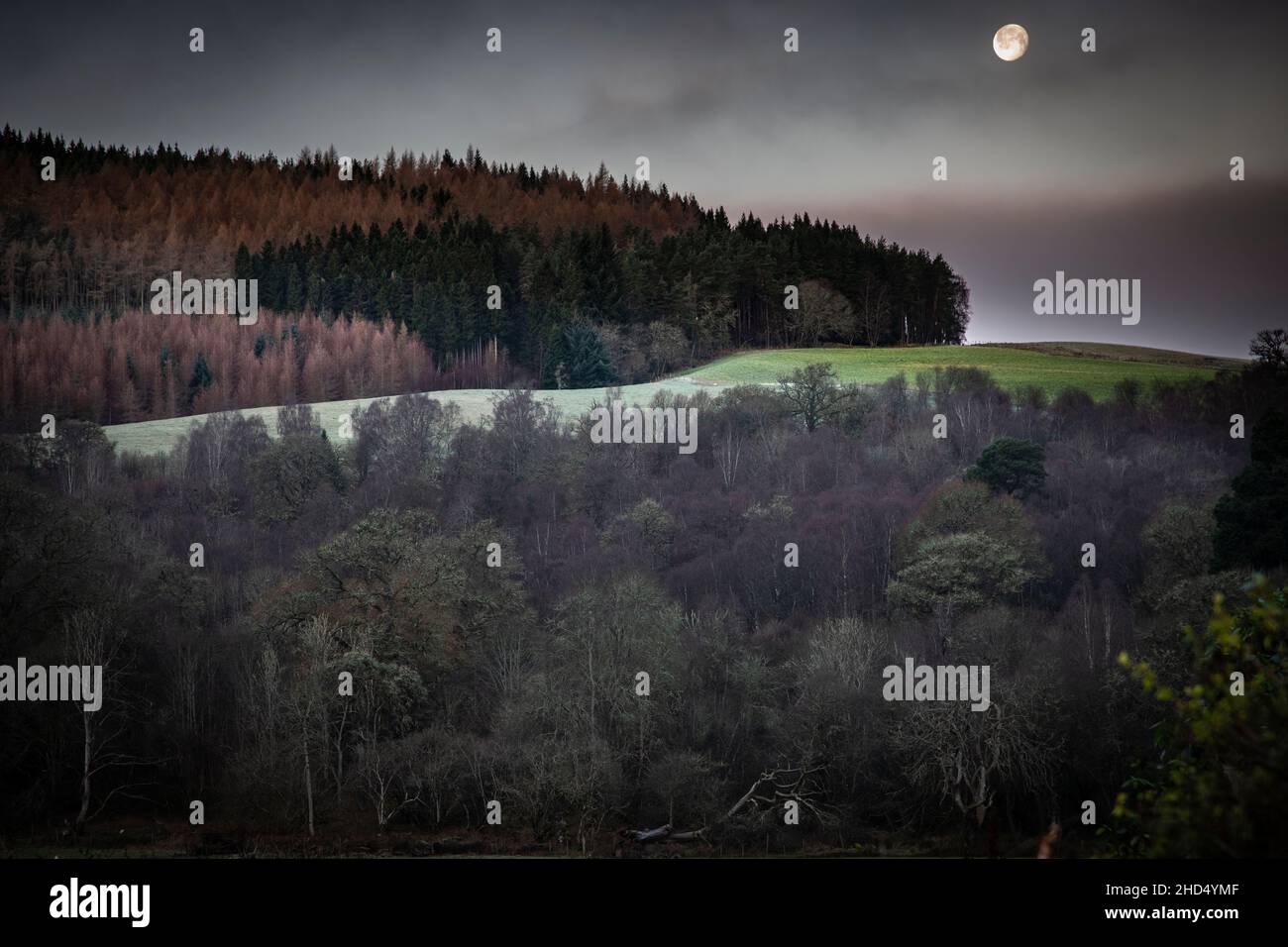 Midwinter winter solstice hi-res stock photography and images - Alamy