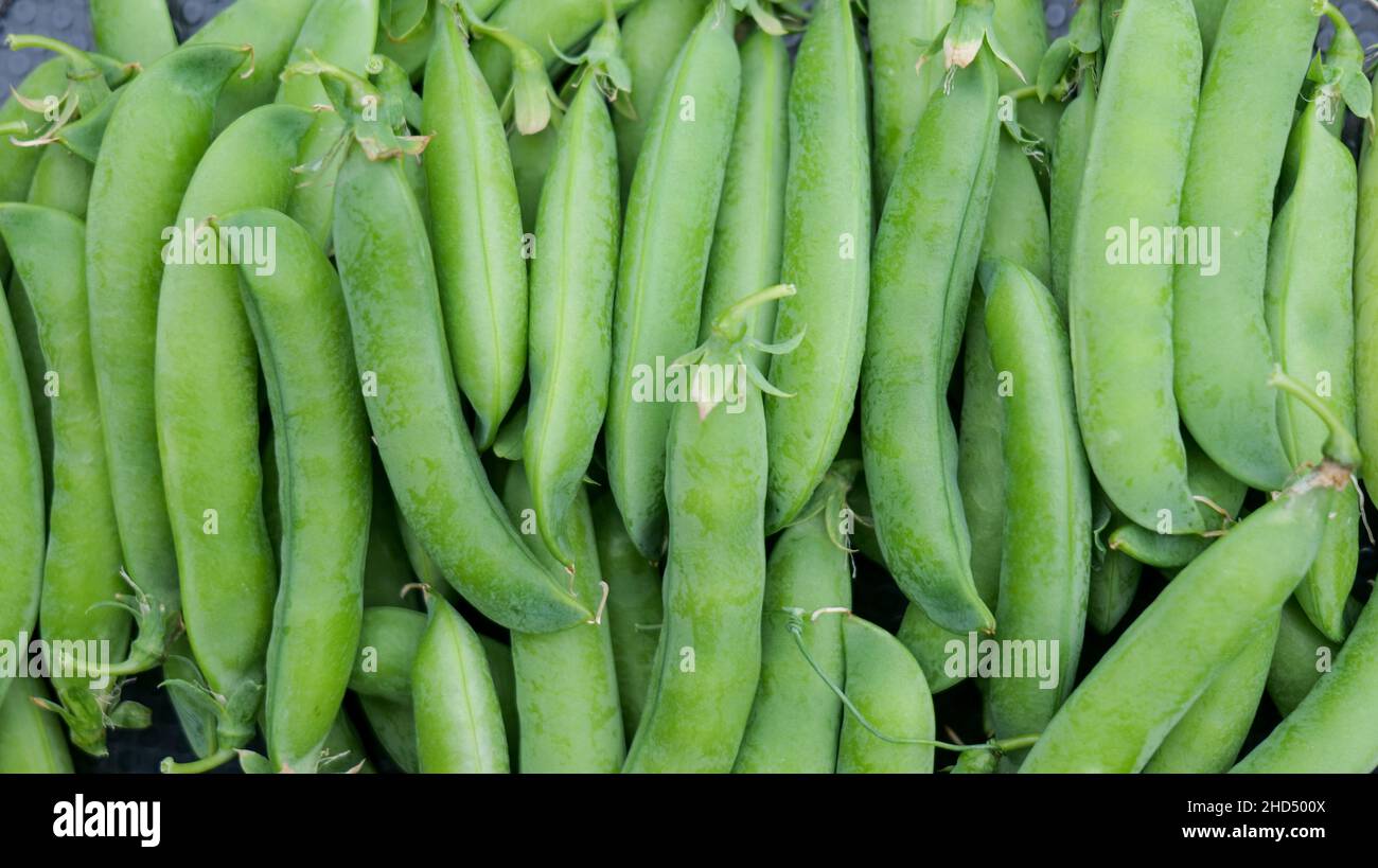 green peas. ripe pea pods top view Stock Photo - Alamy