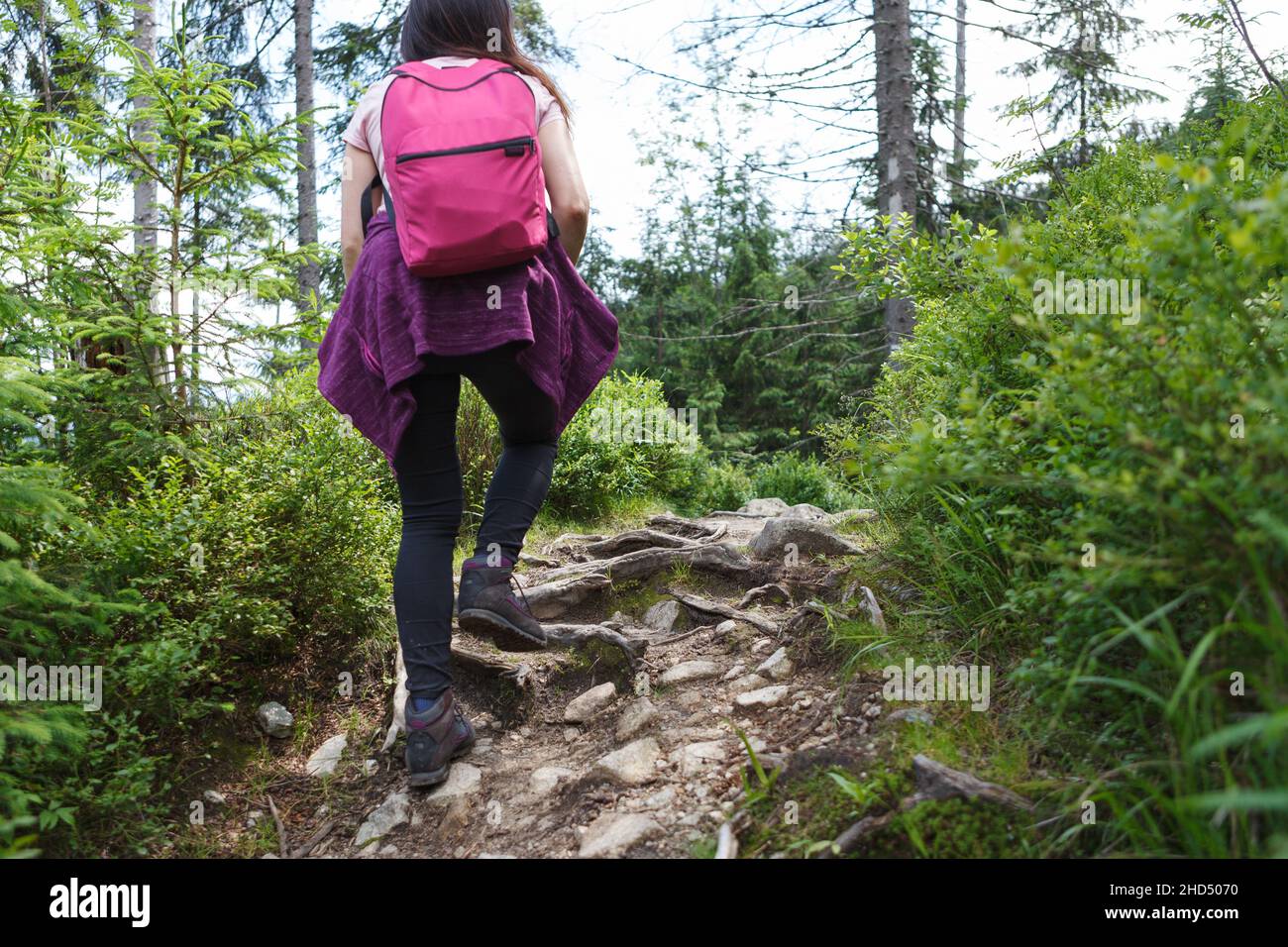 Shot from behind back of woman climbing with backpack in hilly area ...
