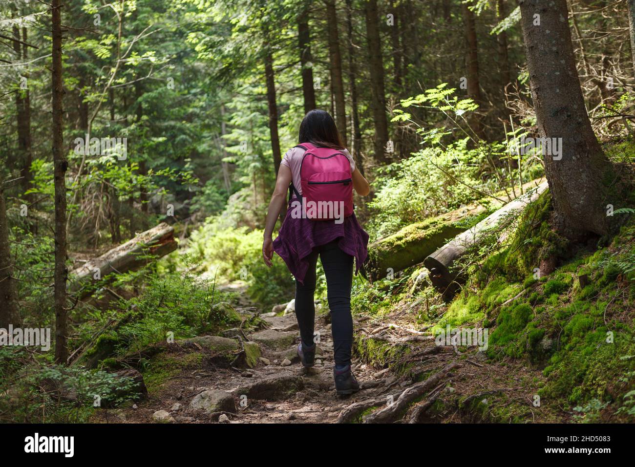 Forest hiking trail woman walking Wandering active people lifestyle in backpack. Rear view Stock ...