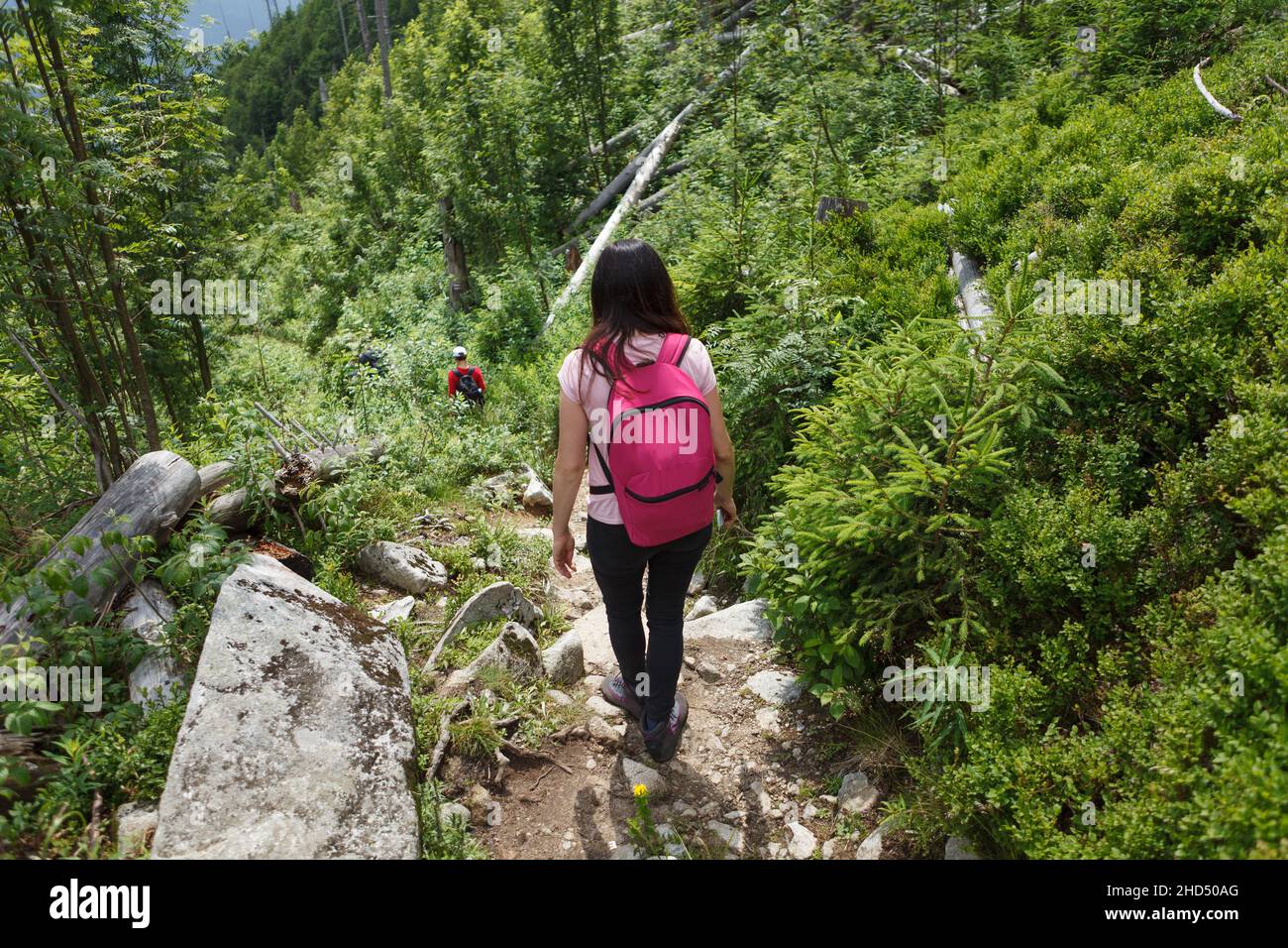 Forest hiking trail woman walking Wandering active people lifestyle in ...