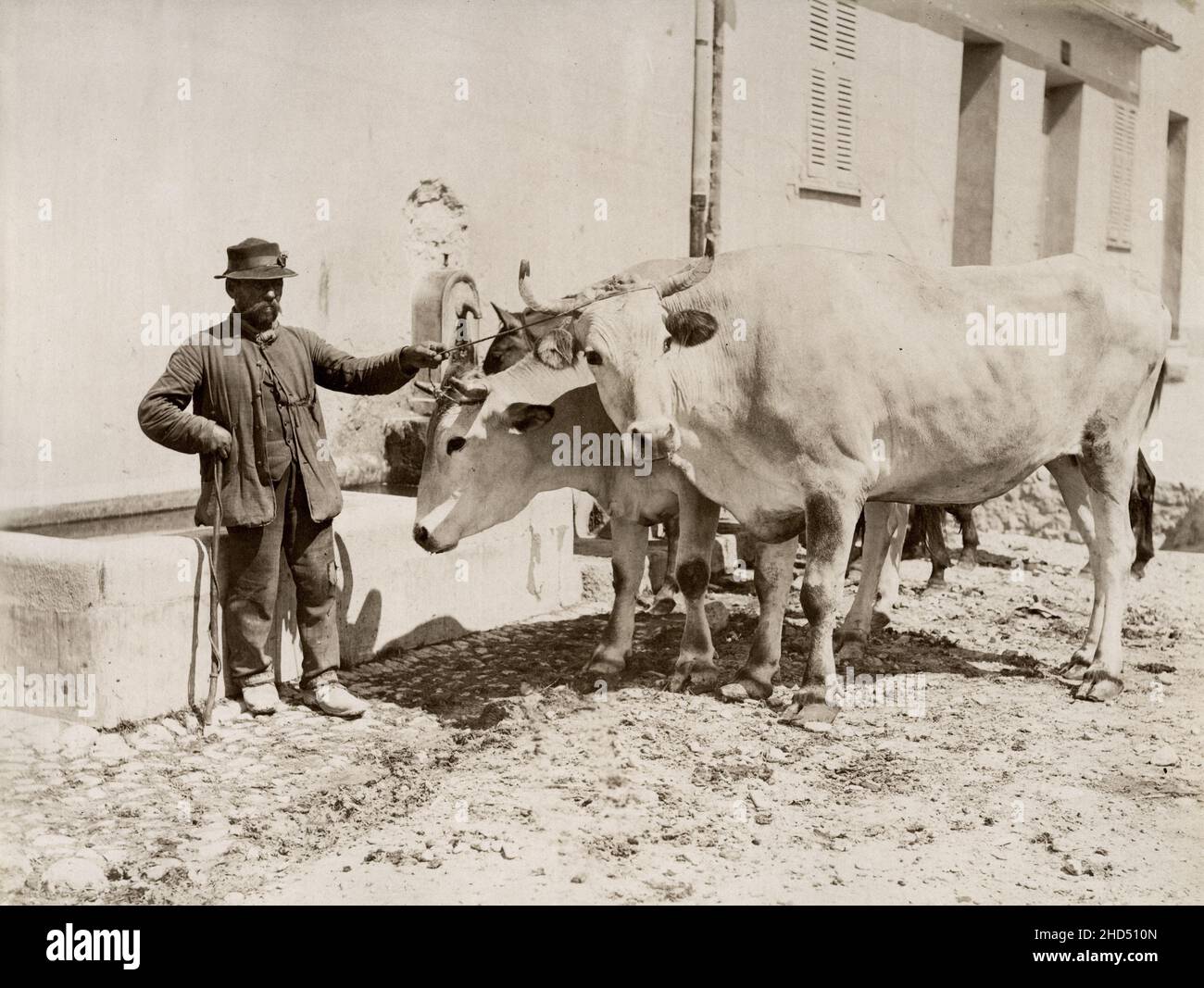Farmer france century hi-res stock photography and images - Alamy