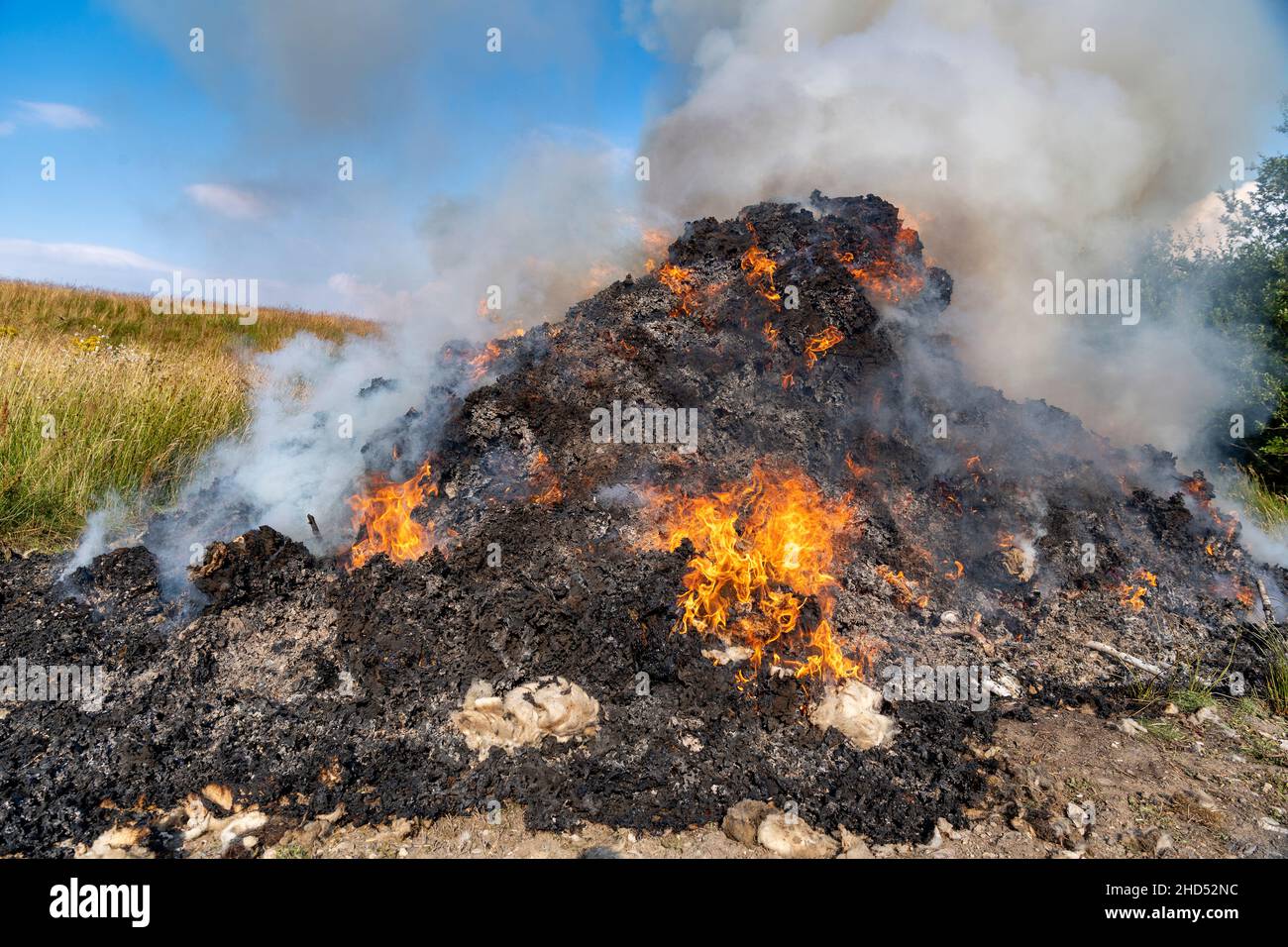 Farmer burning wool as it has become uneconomical to sell as demand has ...