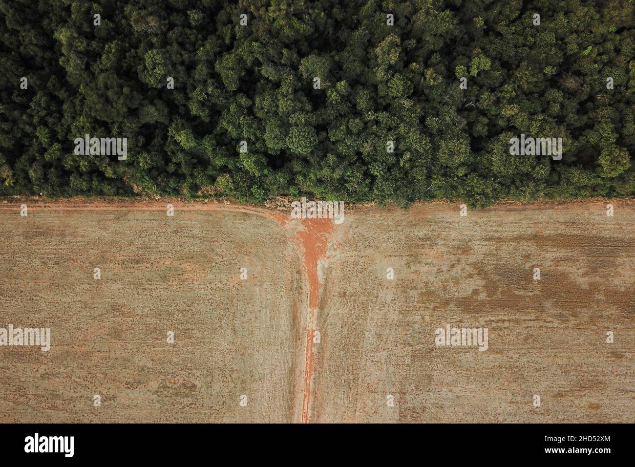 Mato grosso deforestation hi-res stock photography and images - Alamy