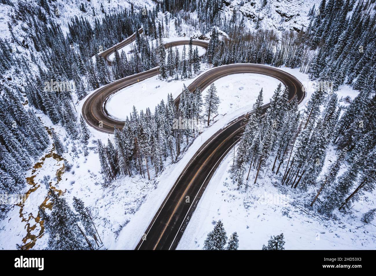 mountain road snakes through pine trees in winter, Colorado Stock Photo ...