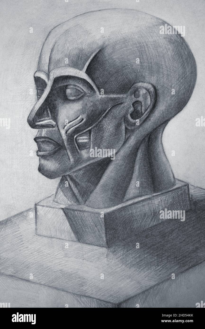 Statue head drawing hi-res stock photography and images - Alamy