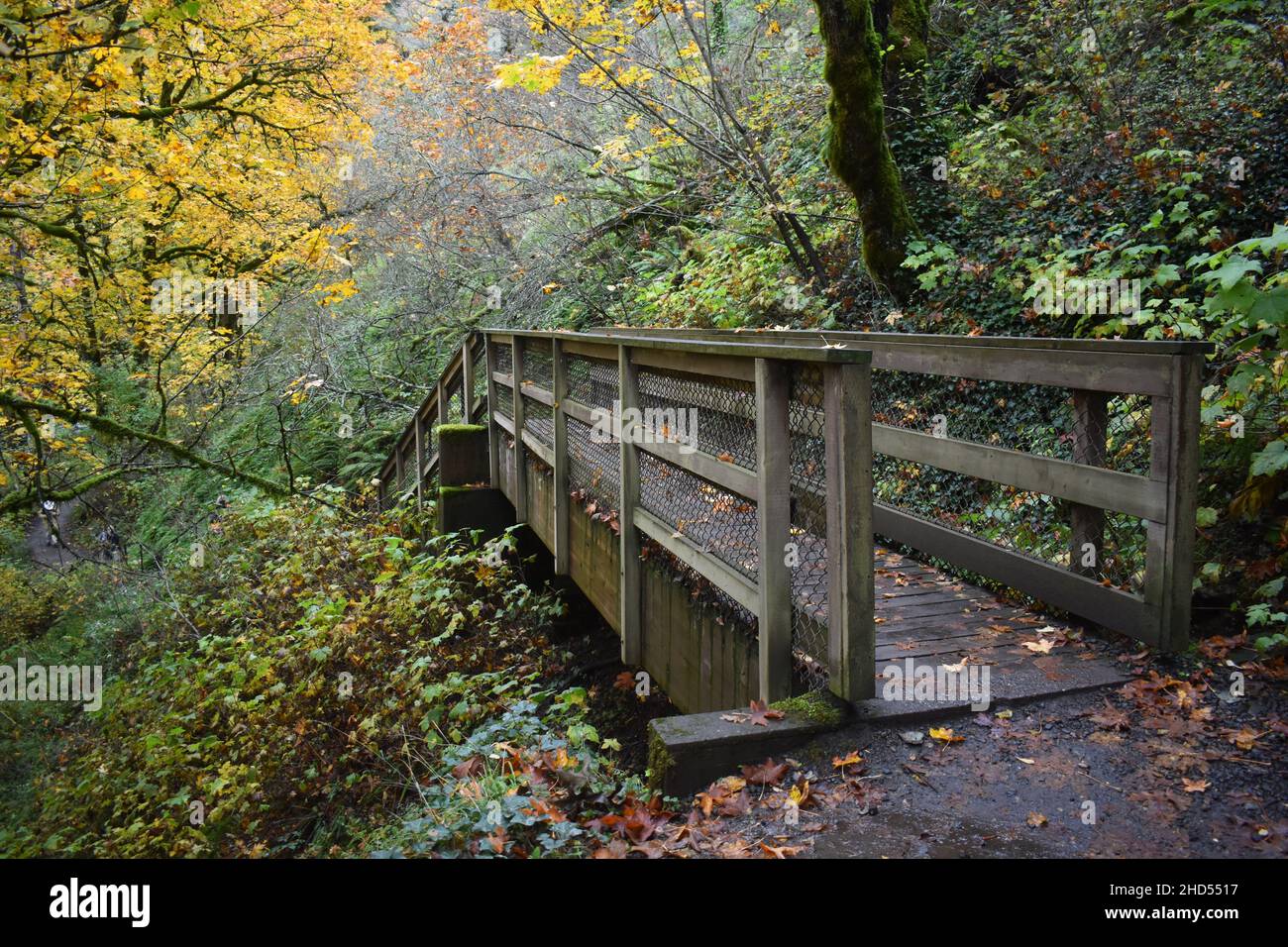 Beautiful photo of a bridge going through fall colors in Oregon Stock ...