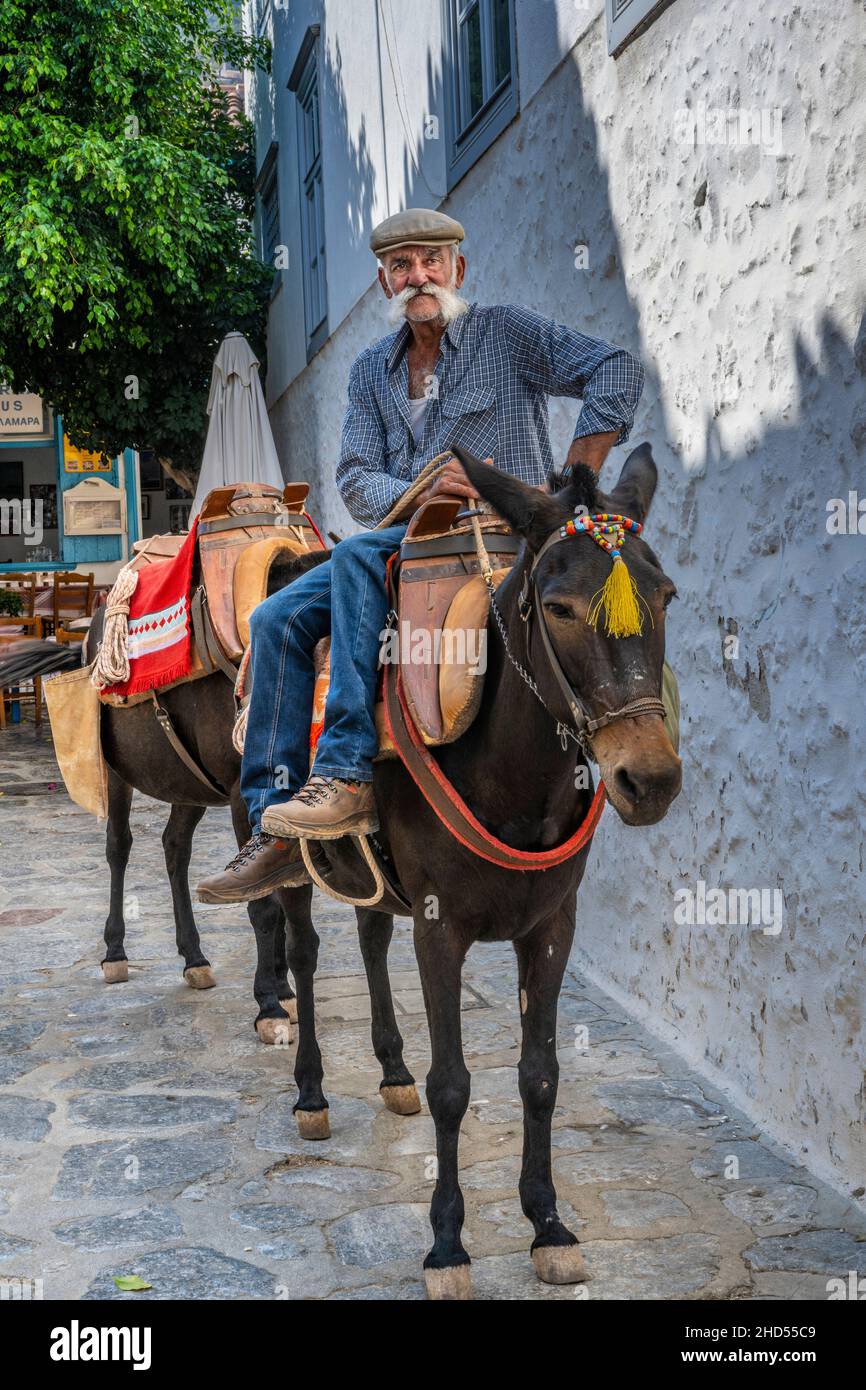 Donkey transport in Hydra Stock Photo - Alamy