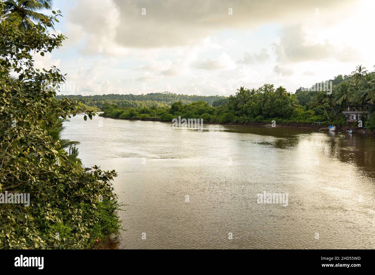 Beautiful evening time view of Talpona River in Canacona, Goa, India ...