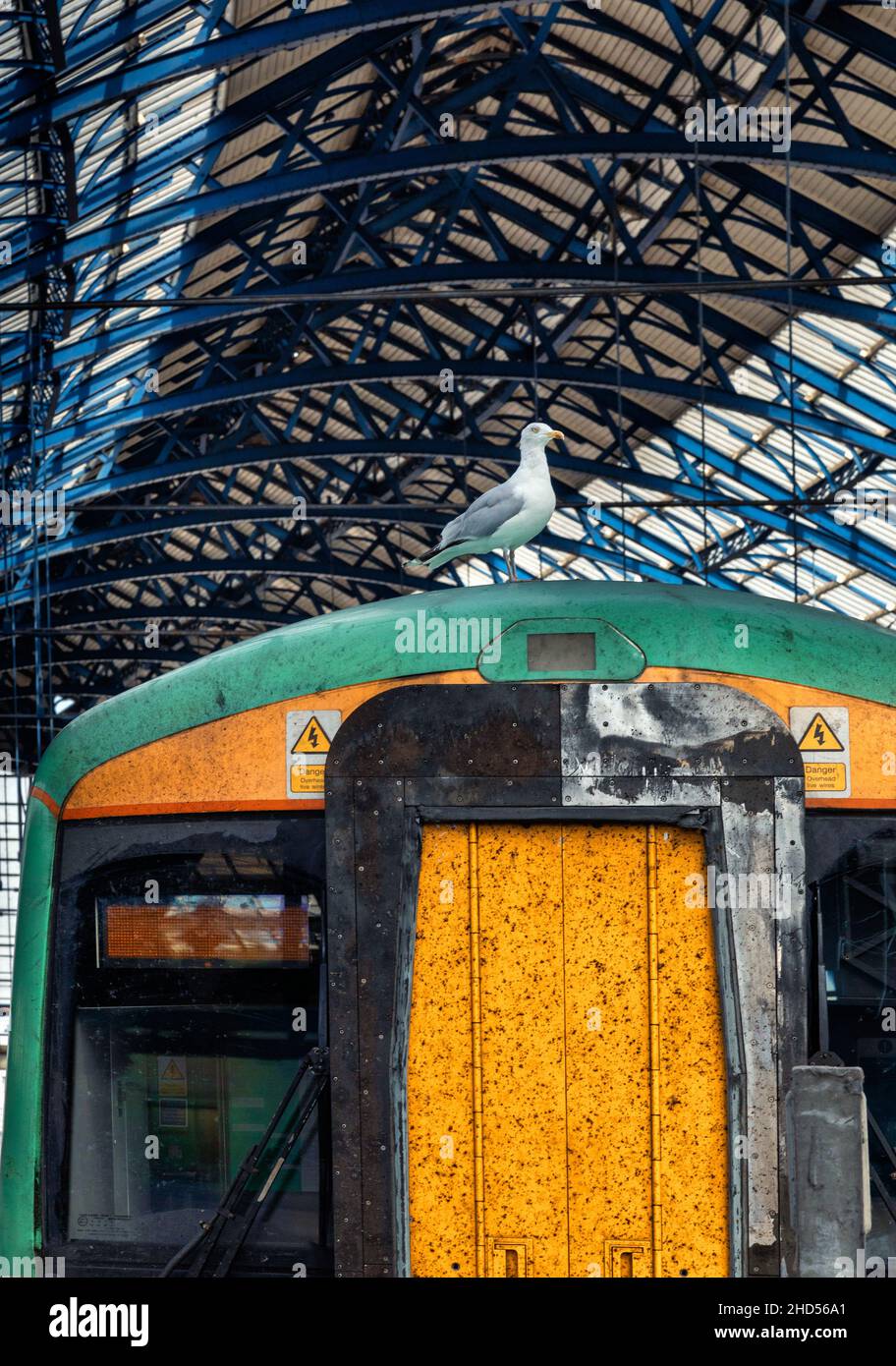Train station structure hi-res stock photography and images - Alamy
