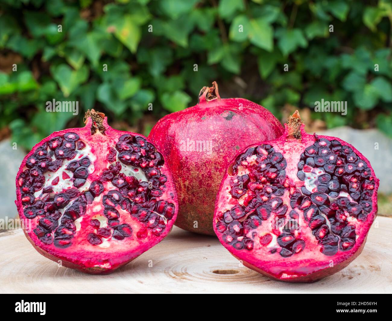 Cross section pomegranate hi-res stock photography and images - Alamy