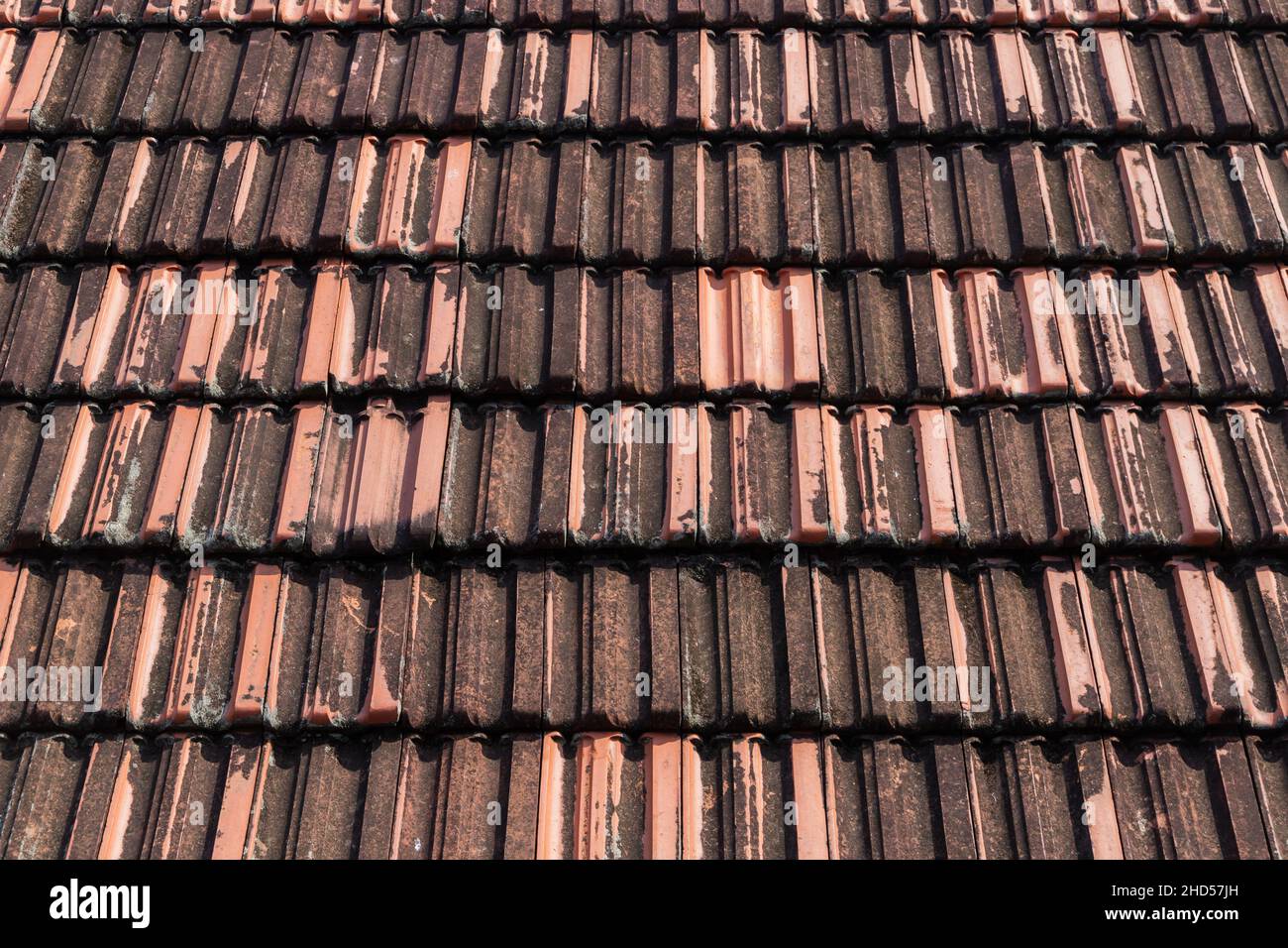 Kerala Roof Tile Texture