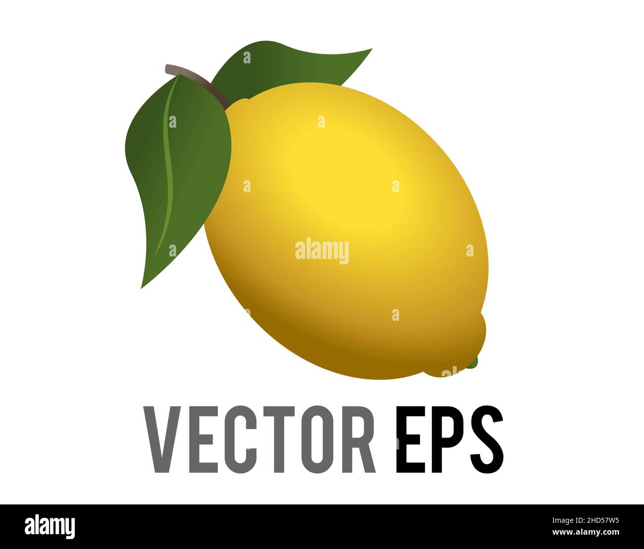 The isolated vector sour, gradient yellow colored citrus fruit of lemon ...