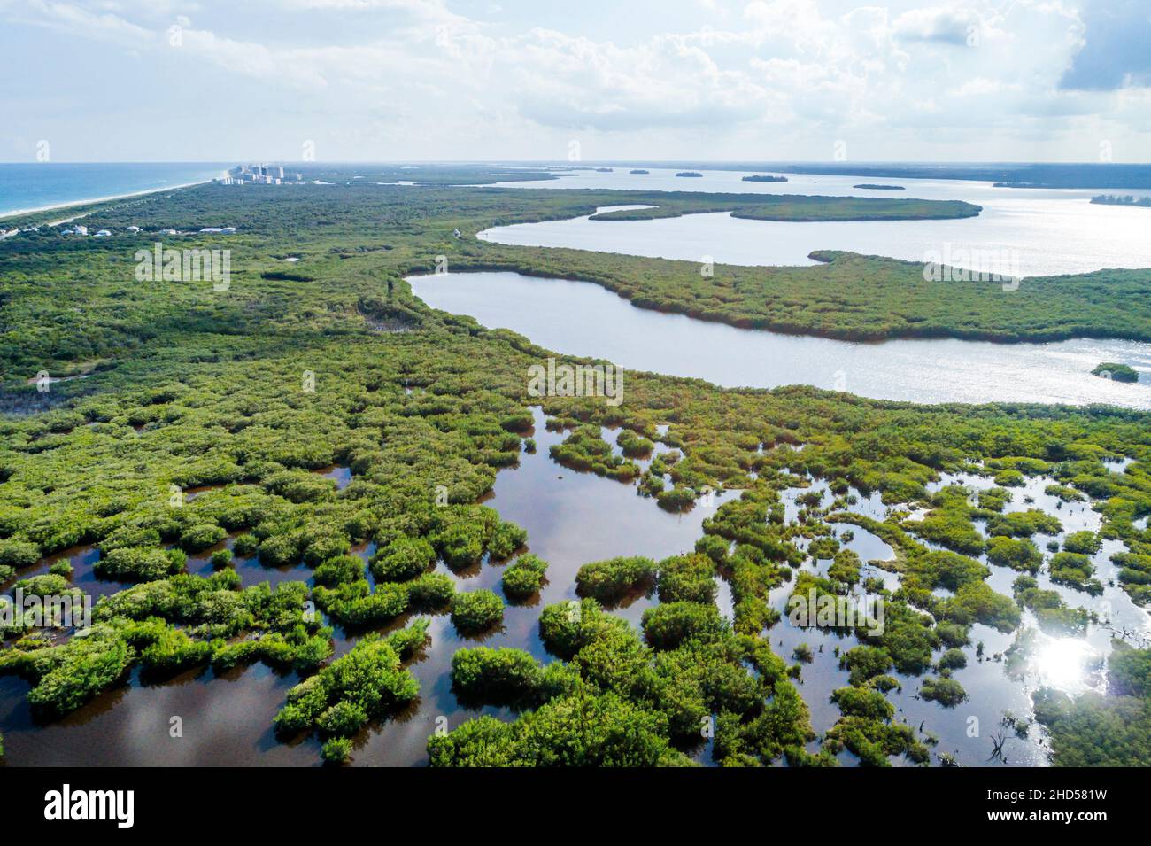 Round island south conservation area riverside park indian river hi-res ...