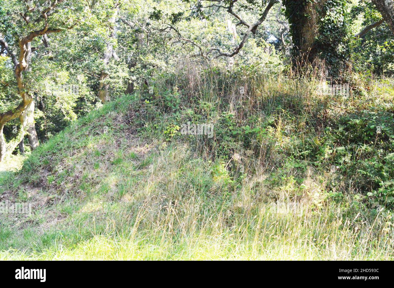 Iron Age Hill Fort Stock Photo - Alamy