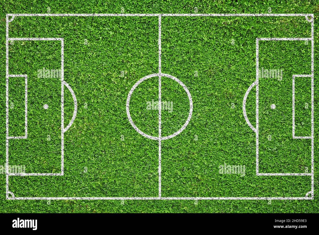Closeup image of natural green grass soccer field Stock Photo - Alamy