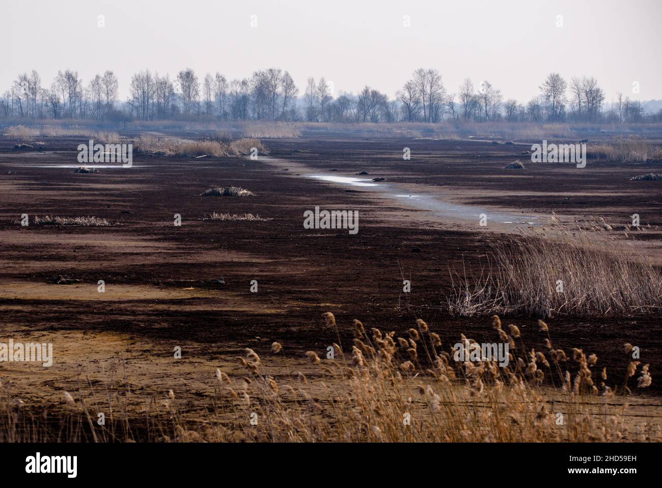 Selective focus photo. Dry fish pond area without water Stock Photo - Alamy