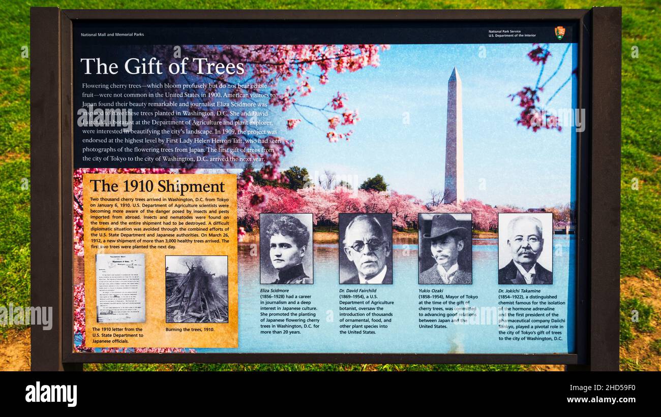 Interpretive sign describing the gift of cherry trees from Japan ...