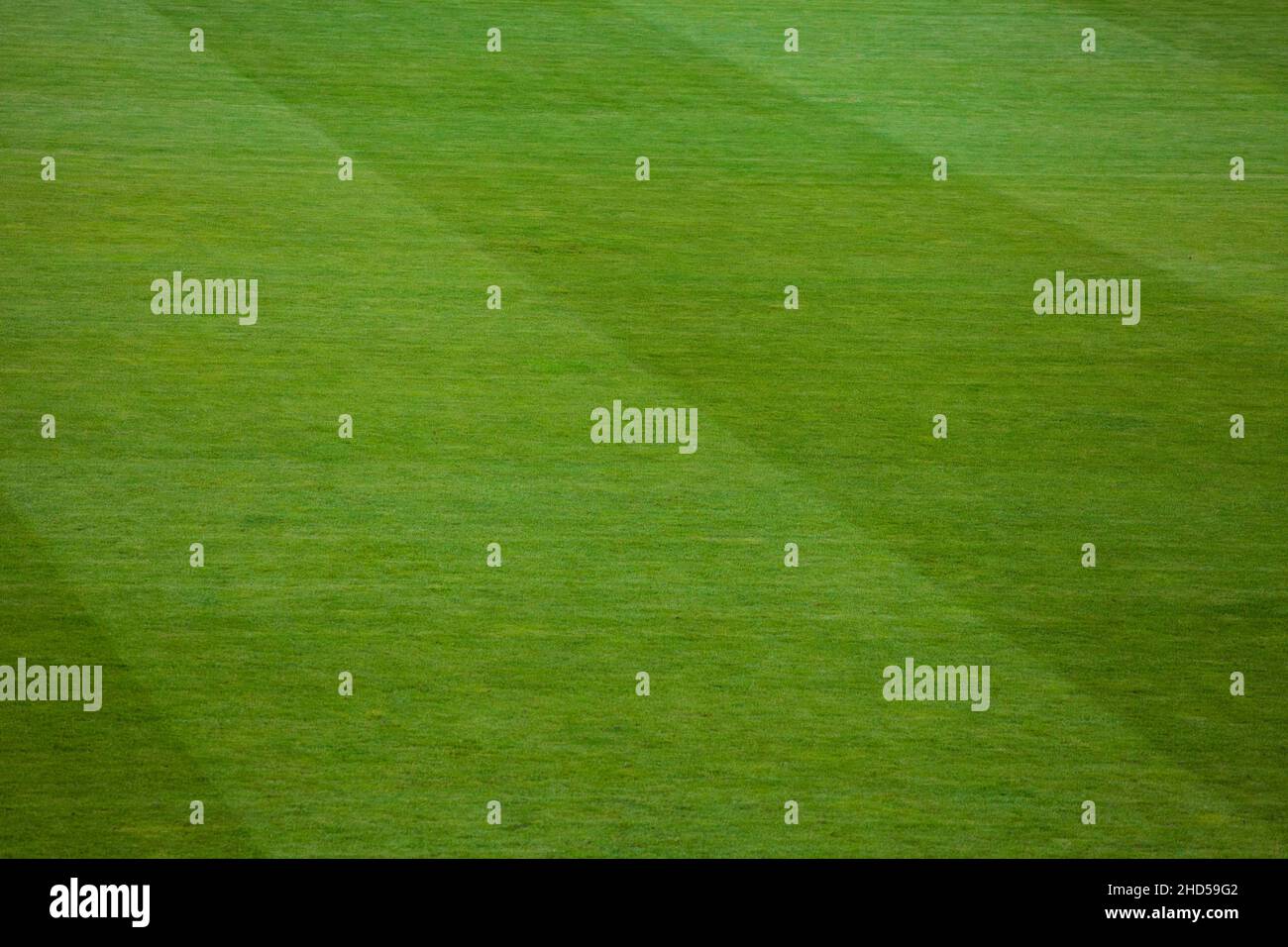 green natural grass of a Football soccer field Stock Photo - Alamy