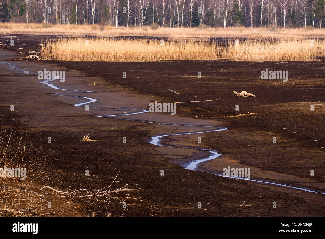 Selective focus photo. Dry fish pond area without water Stock Photo - Alamy