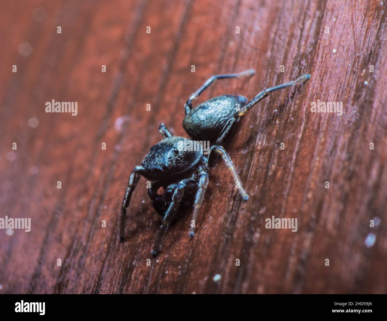 Clack color hi-res stock photography and images - Alamy