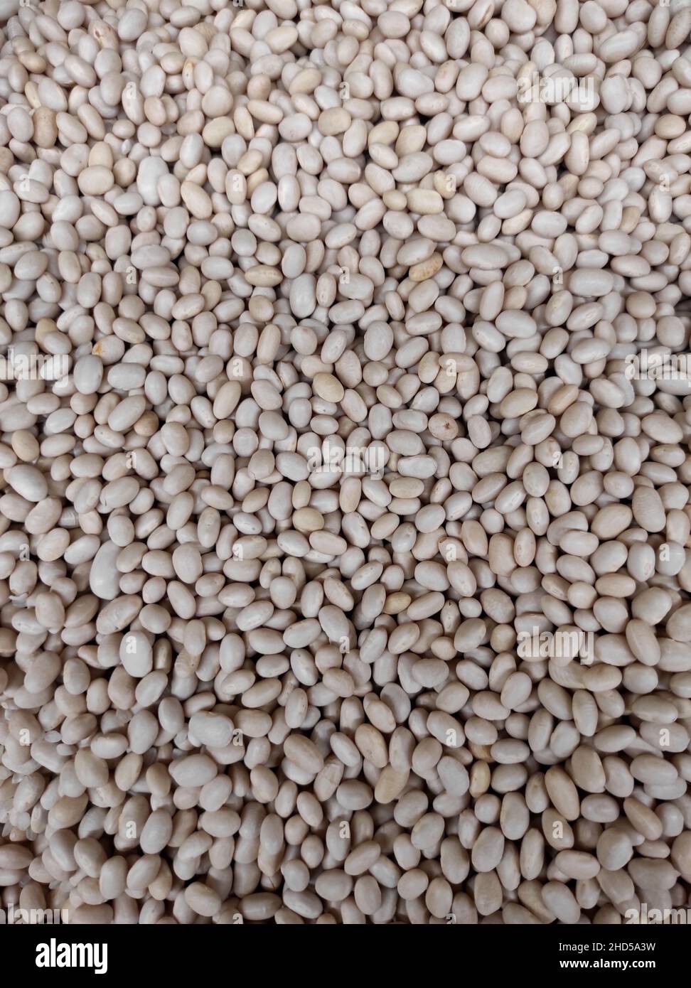 Top view of a heap of small beans background Stock Photo - Alamy