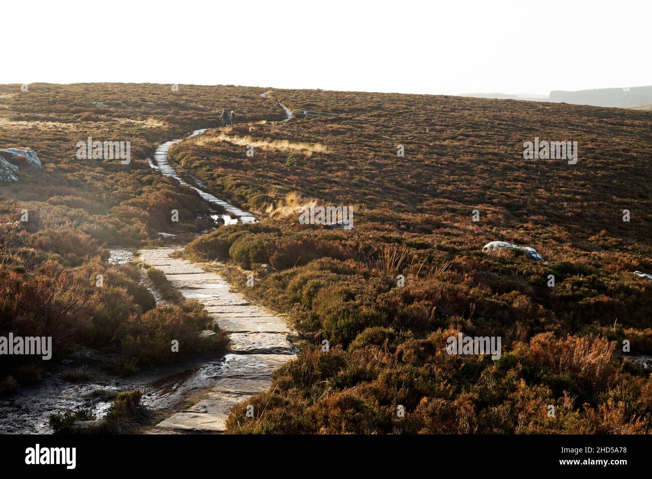 Footpath on the Simonside Hills in Northumberland, England. Part of the ...