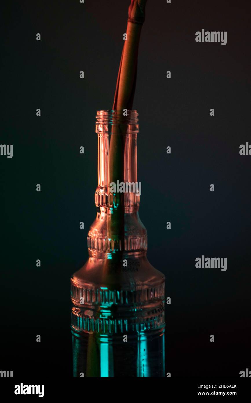 Fresh sprout growing in a glass bottle with dark background Stock Photo ...