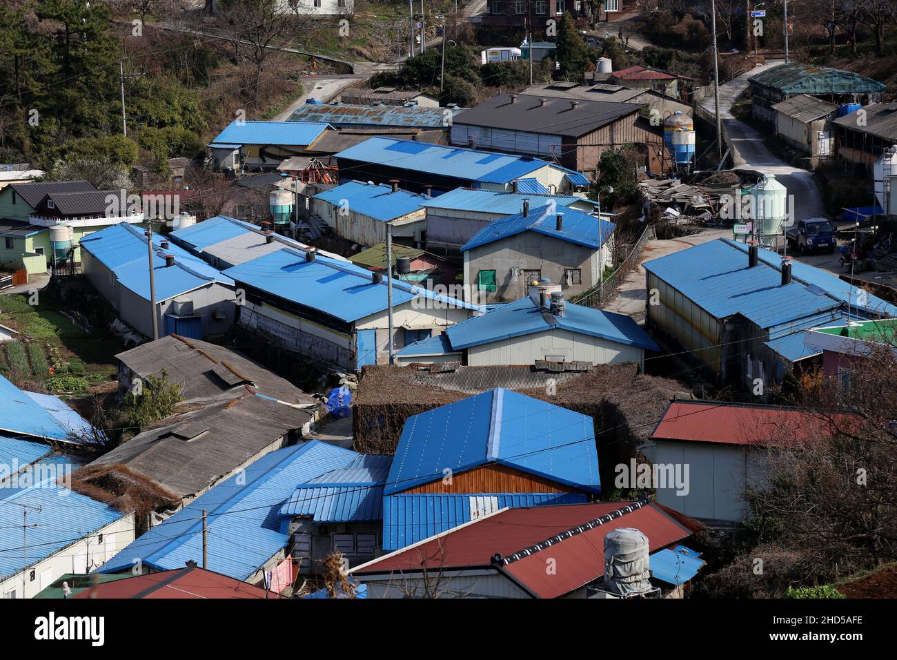 Aerial view of a poor neighbourhood with blue roofs on buildings Stock ...