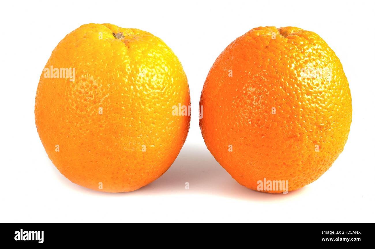 Two ripe grapefruits isolated on white background. Whole nutritious ...