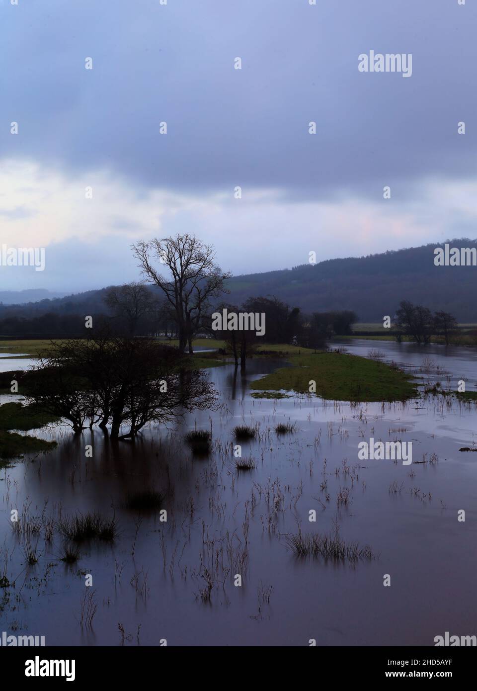 West Wales & Towy Valley Stock Photo - Alamy