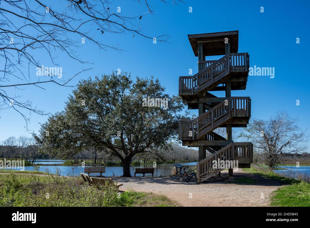 The wooden observation tower at the Brazos Bend State Park. Needville ...