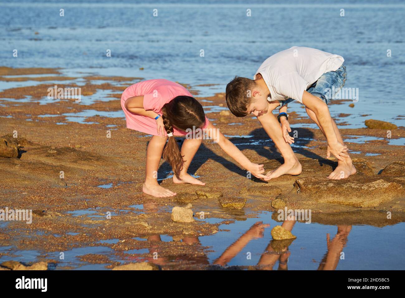 Two kids are searching for hidden crabs at the sea shore. Recreation ...