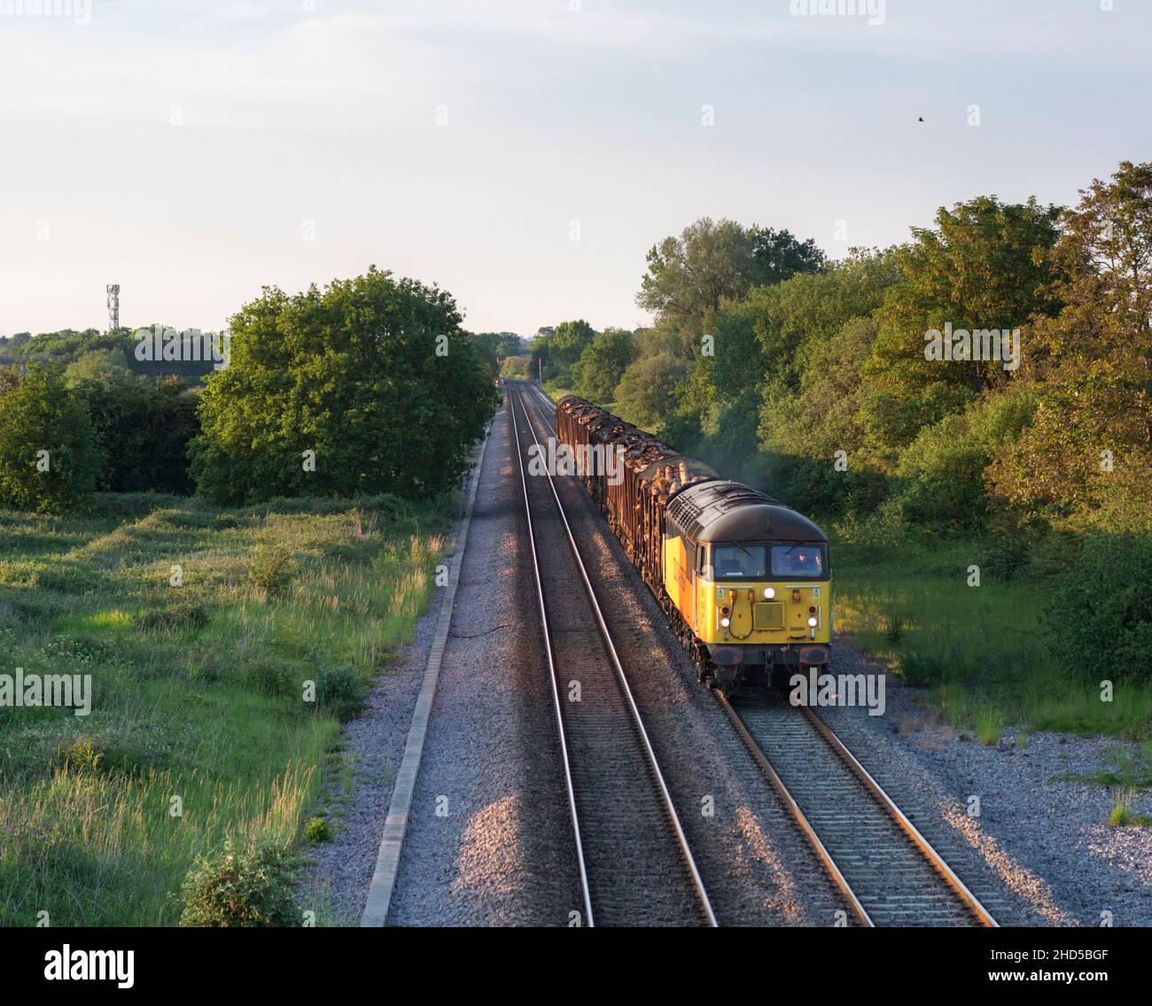 A Colas Railfreight class 56 locomotive hauling a train carrying timber ...