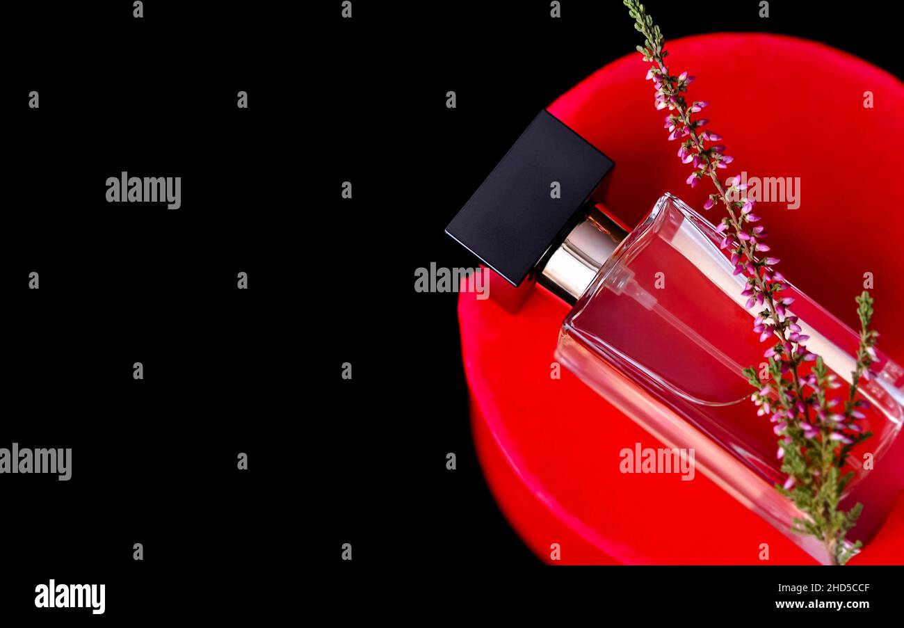 Perfume bottle and heather twig. Red gift box. Black background Stock ...