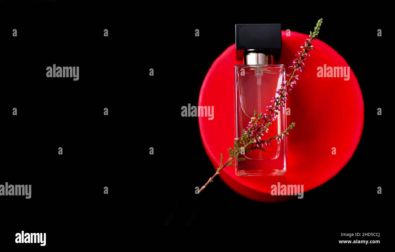 Perfume bottle and heather twig. Red gift box. Black background Stock ...