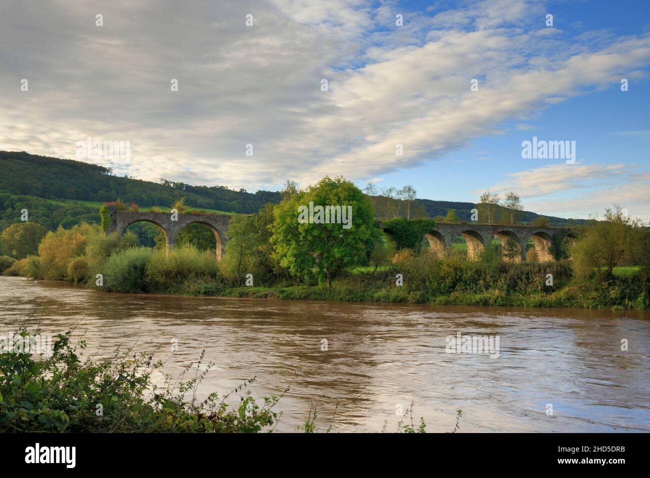 Chippenham Meadow Viaduct and the River Wye in Monmouth Stock Photo - Alamy