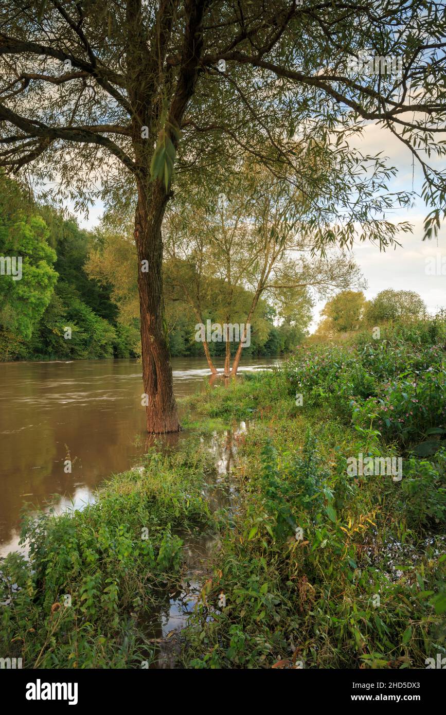 Elevated water level on the River Wye at Monmouth Stock Photo - Alamy