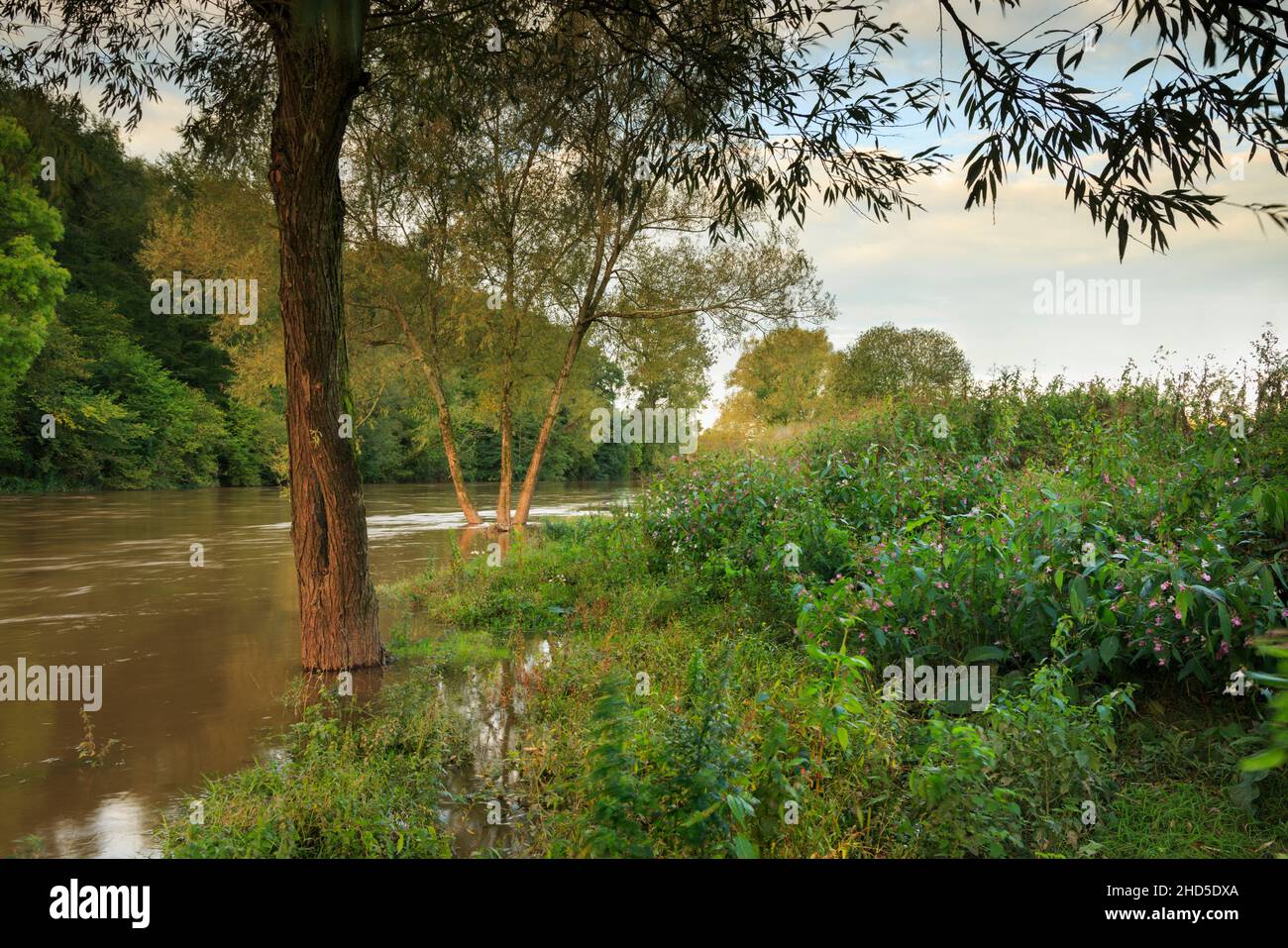 Elevated water level on the River Wye at Monmouth Stock Photo - Alamy