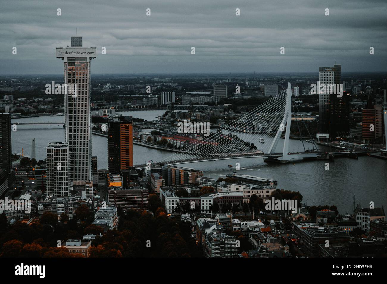 Bird's eye view of a suspension bridge and skyscrapers in Rotterdam ...