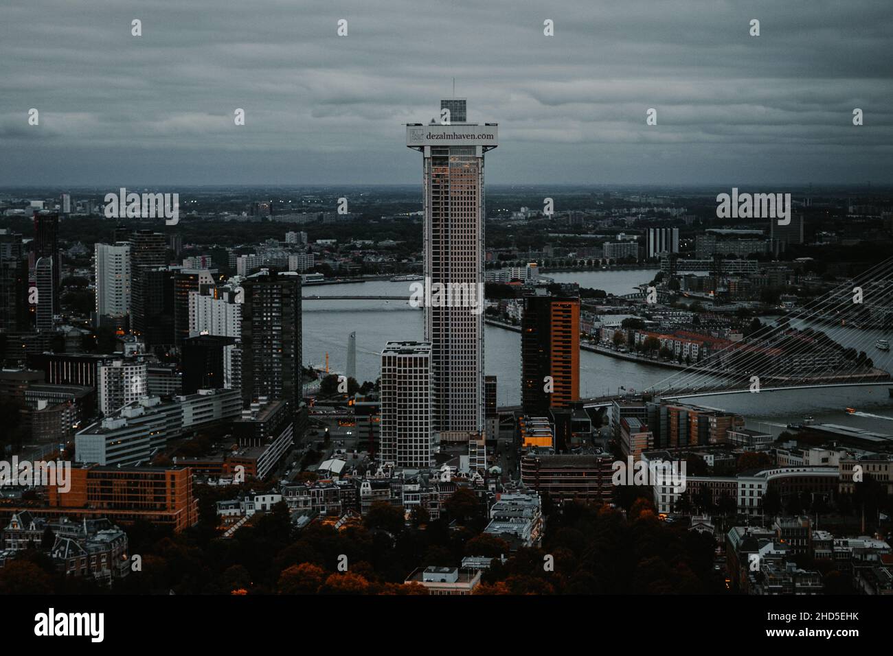 Bird's eye view of a tower and skyscrapers in Rotterdam, the ...