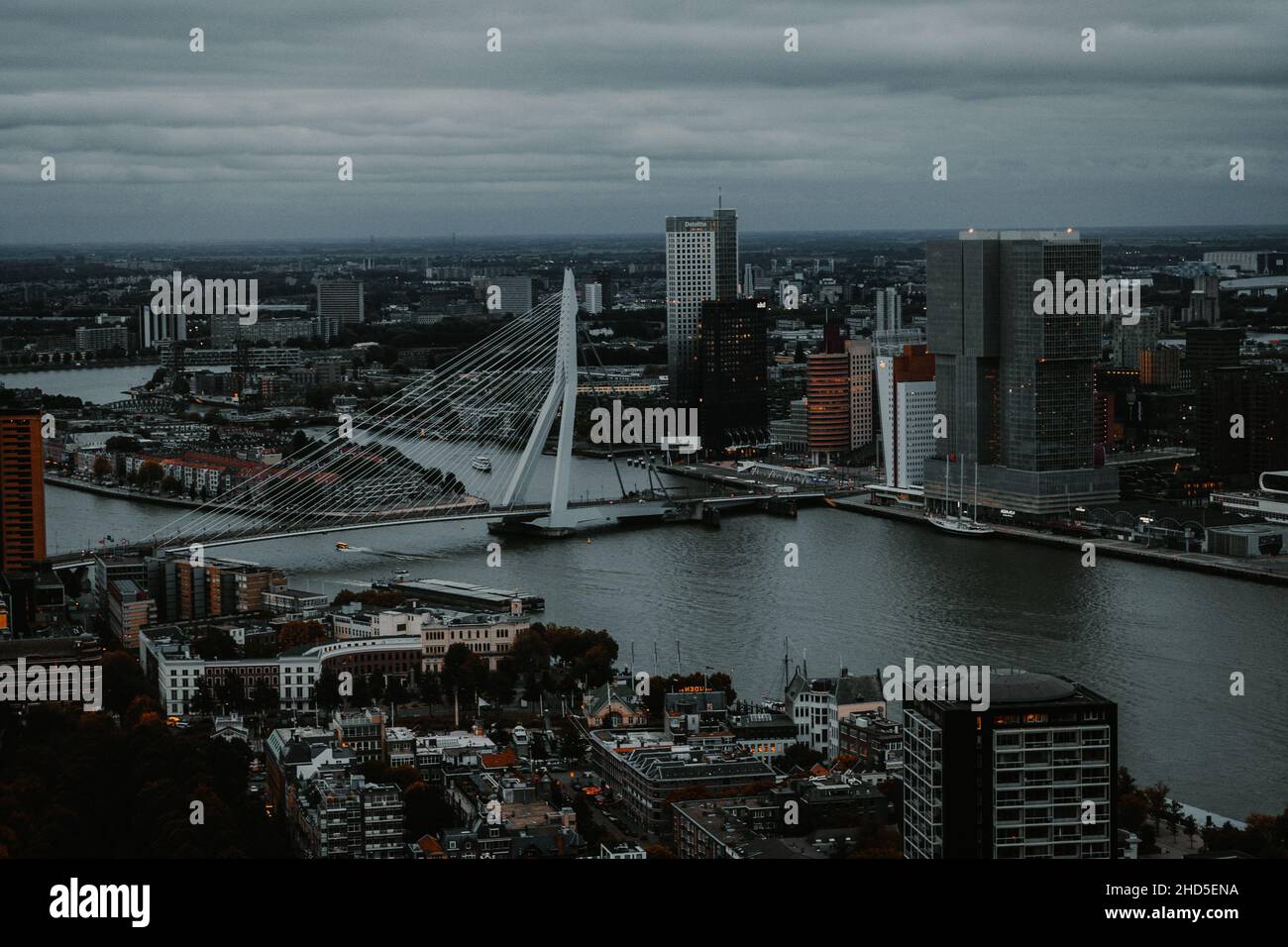 Bird's eye view of a suspension bridge and skyscrapers in Rotterdam ...