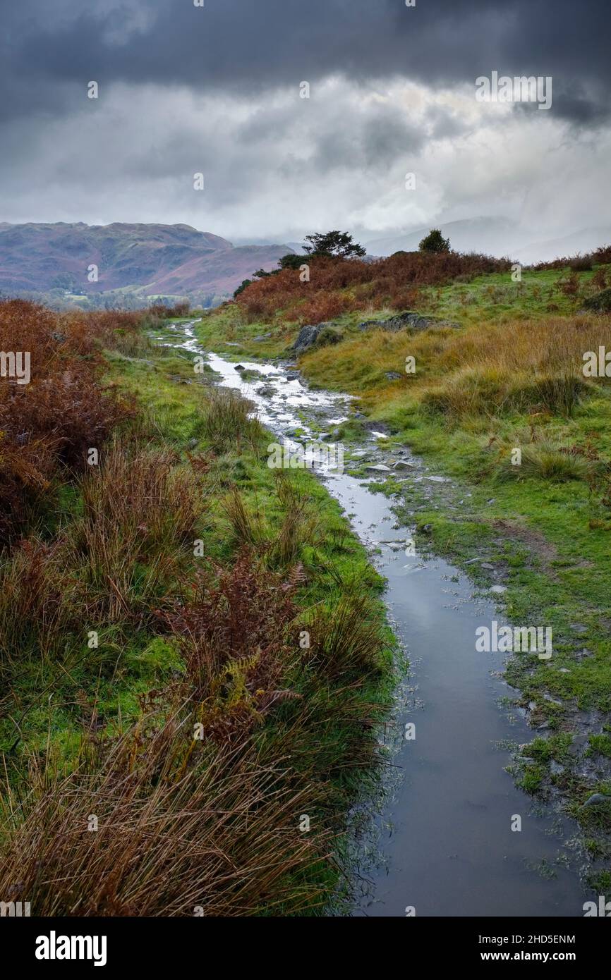 Waterlogged trail hi-res stock photography and images - Alamy