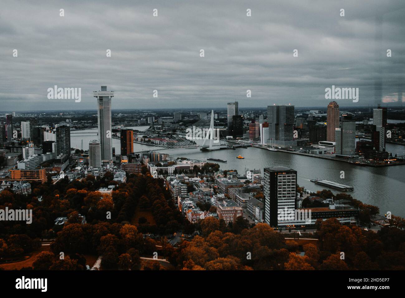 Bird's eye view of autumn trees and skyscrapers in Rotterdam, the ...