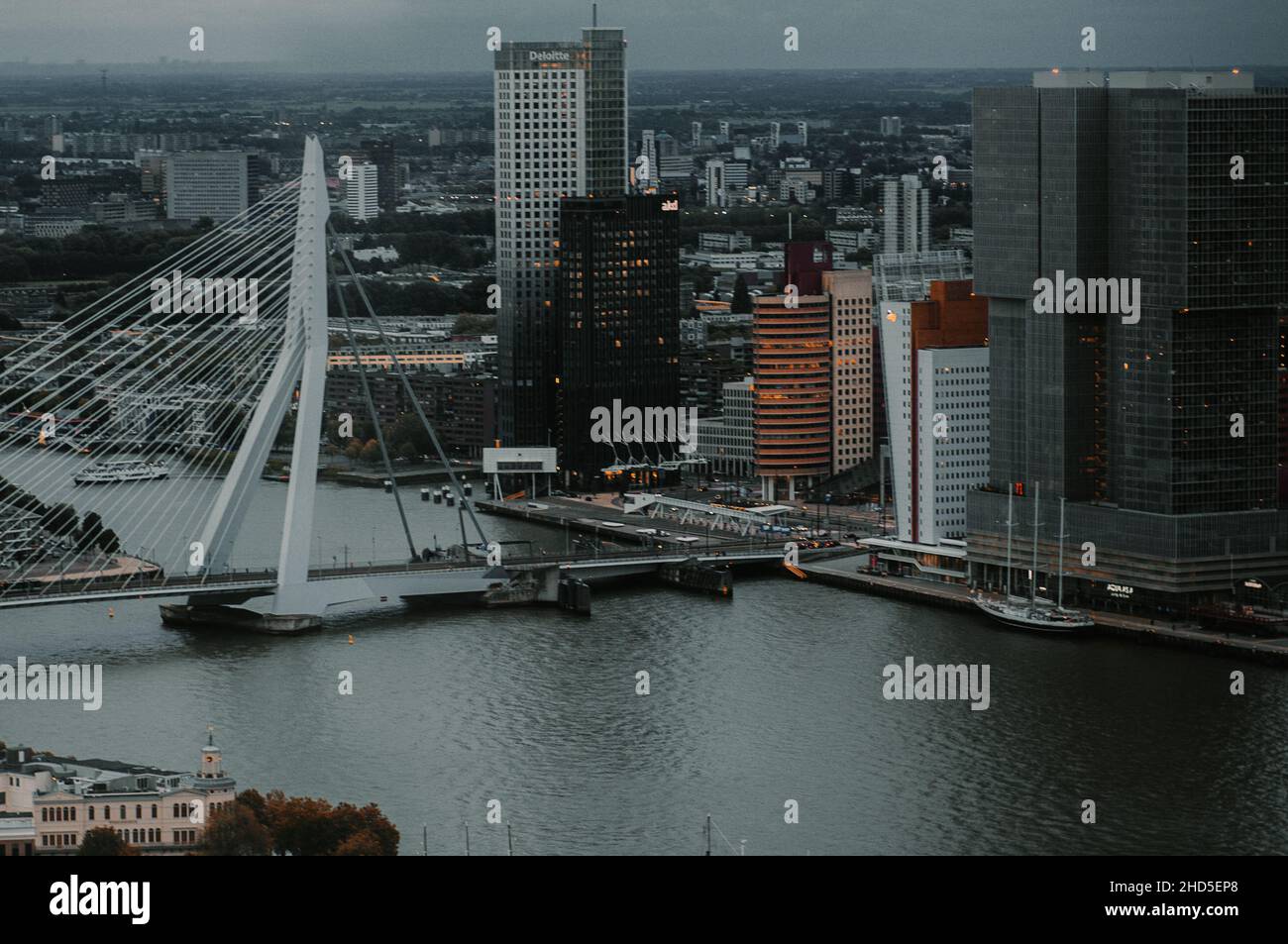 Bird's eye view of a suspension bridge and skyscrapers in Rotterdam ...