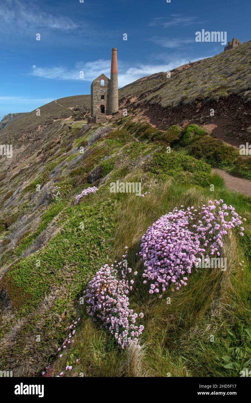 A restored engine house and Cornish tin mine Stock Photo - Alamy