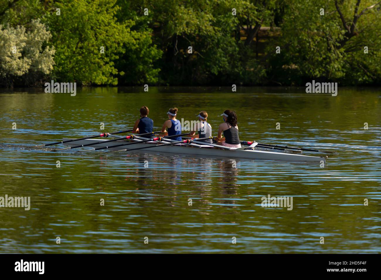 Long narrow scull hi-res stock photography and images - Alamy