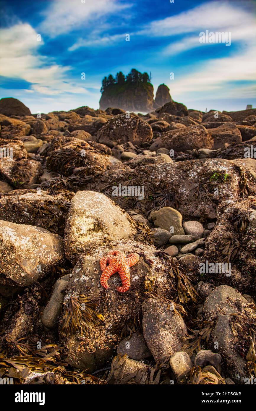 Second beach on pacific ocean hi-res stock photography and images - Alamy