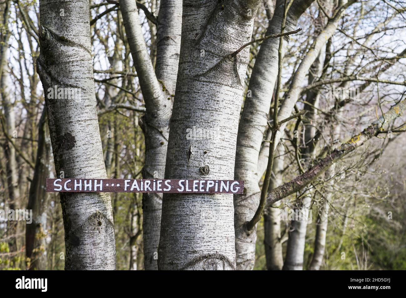 A wooden sign seen in the trees in woodland near Wigan in Lancashire ...
